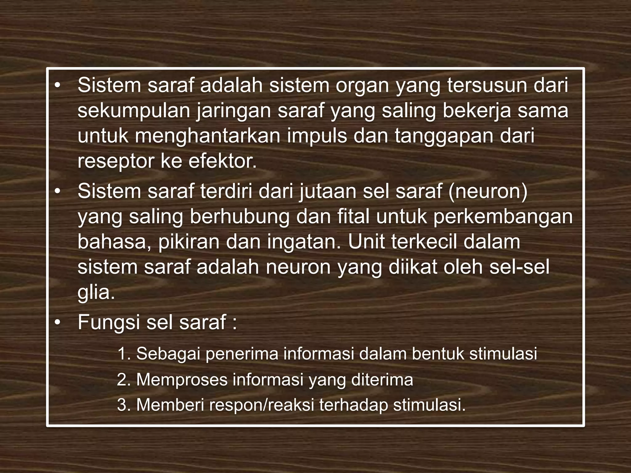 Sistem Saraf (Biologi) | PPTX