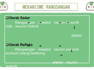 Sistem Saraf (Biologi) | PPTX
