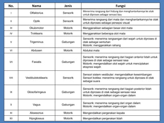 Sistem Saraf (Biologi) | PPTX
