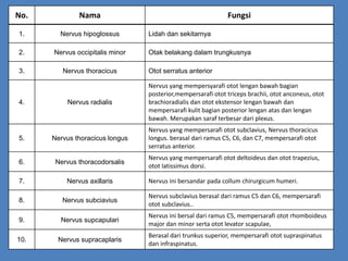 Sistem Saraf (Biologi) | PPTX