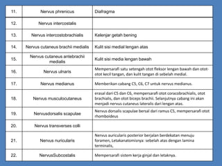 Sistem Saraf (Biologi) | PPTX