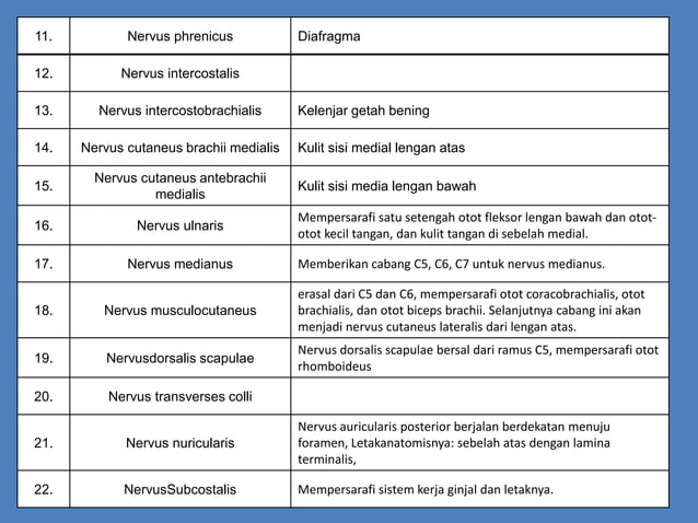 Sistem Saraf (Biologi) | PPTX