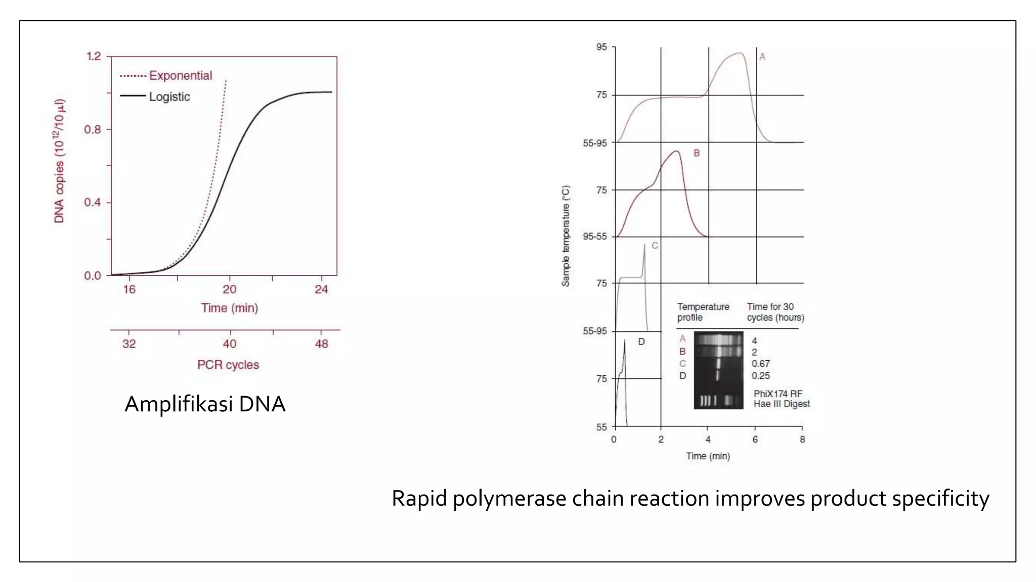 Nucleic Acid Techniques | PPTX