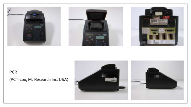 Nucleic Acid Techniques | PPT