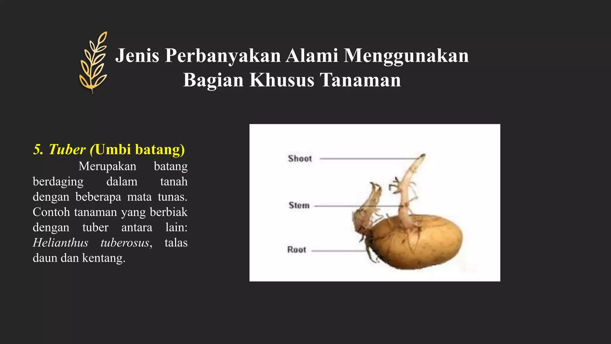 Kelompok 7_Perbanyakan Aseksual Alami.pptx