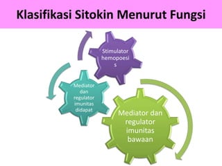 komplemen dan sitokin imunoserologi | PPTX