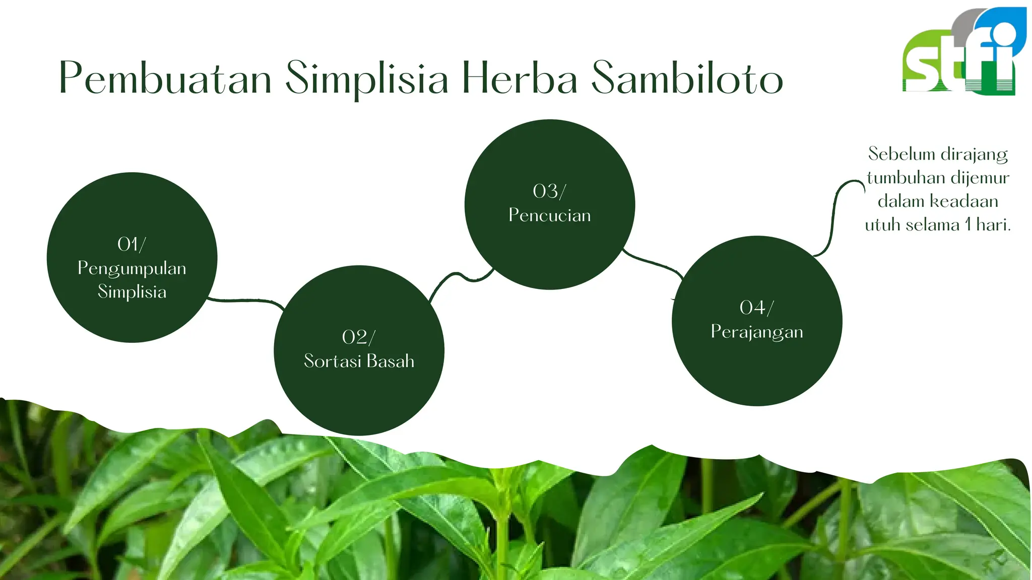 PPT Pengembangan BA Kapsul Sambiloto.pdf