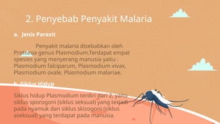 kelompok 8 Malaria Disease. tropical disesea | PPTX