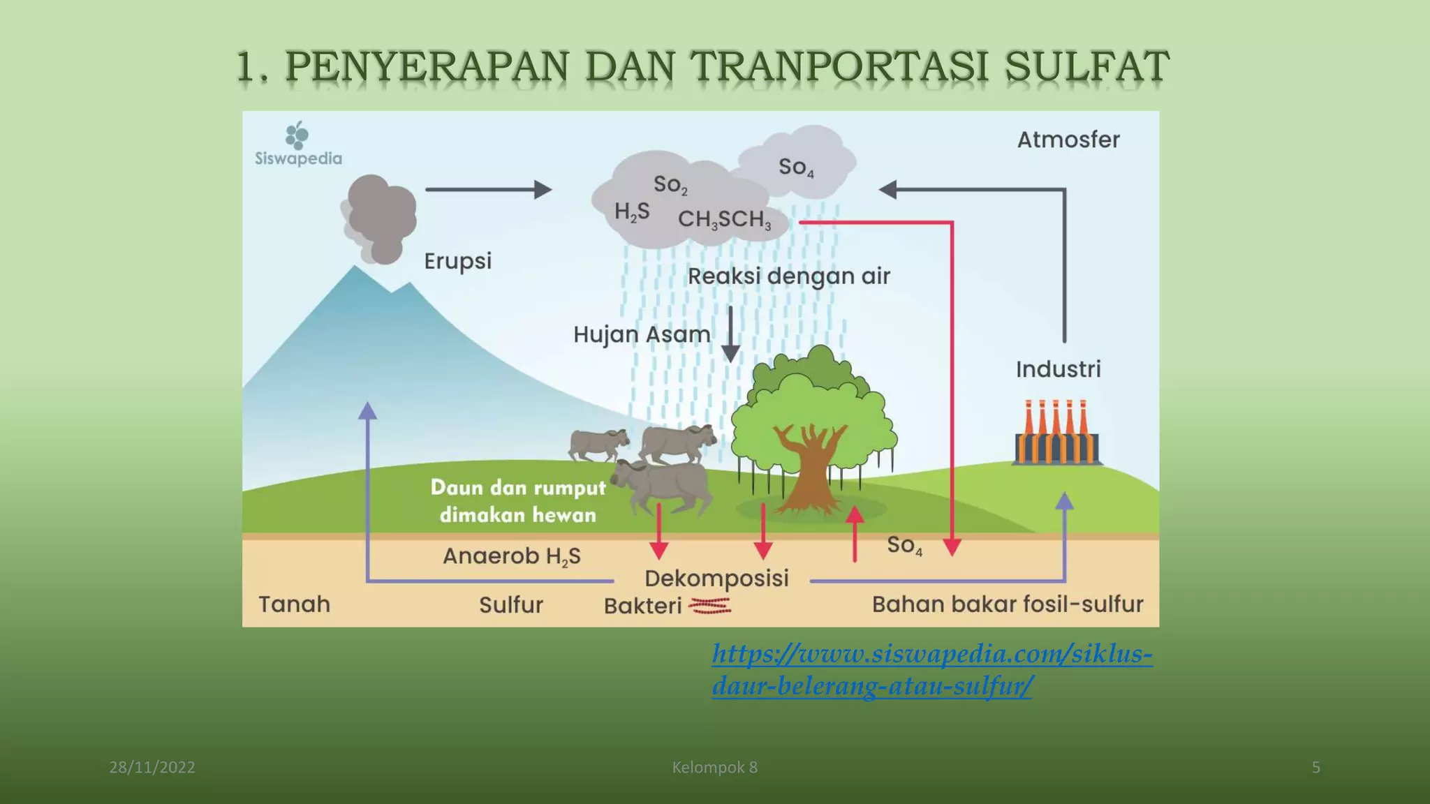 Kelompok 8_metabolisme sulfur_3A.pptx