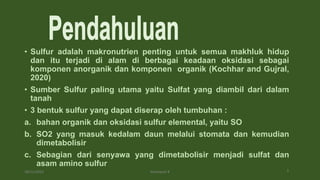Kelompok 8_metabolisme sulfur_3A.pptx