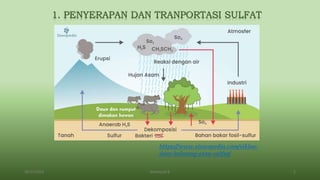 Kelompok 8_metabolisme sulfur_3A.pptx