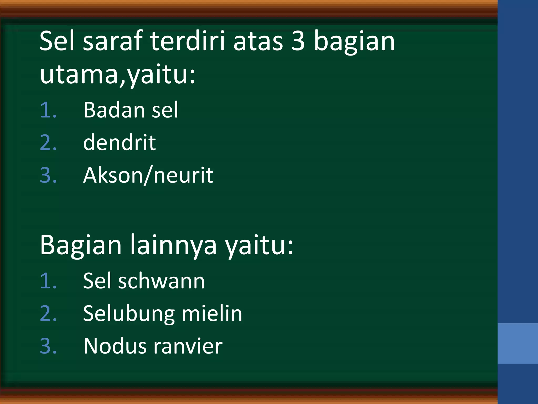 ANATOMI SISTEM SARAF | PPT
