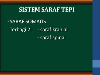 ANATOMI SISTEM SARAF | PPTX