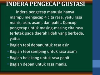 ANATOMI SISTEM SARAF | PPTX