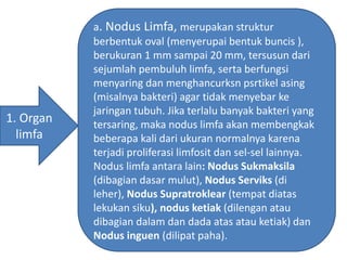 Kelompok 8 sistem limfa | PPT