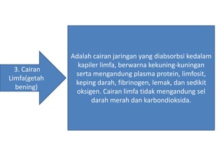 Kelompok 8 sistem limfa | PPT