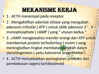 ACTH dan Kortikosteroid | PPTX