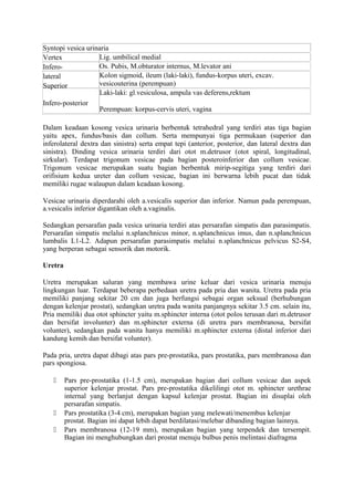 ANATOMI DAN FISIOLOGI GINJAL | DOC
