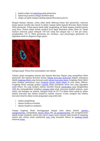 ANATOMI DAN FISIOLOGI GINJAL | DOC
