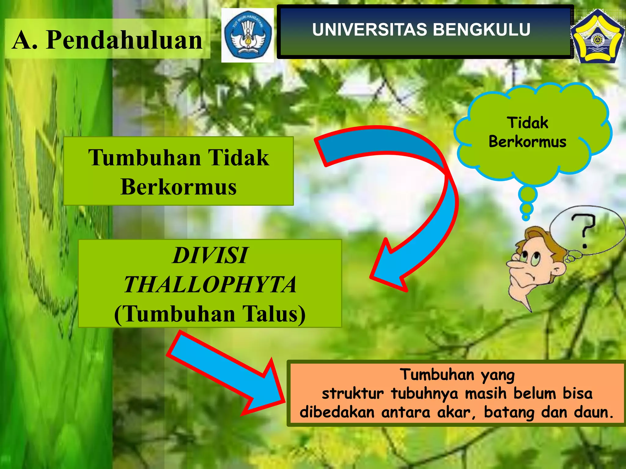 Kelompok 9 (tumbuhan tidak berkormus) | PPTX