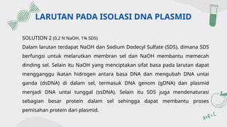Isolasi DNA Plasmid dan Elektroforesis Agarosa.pptx