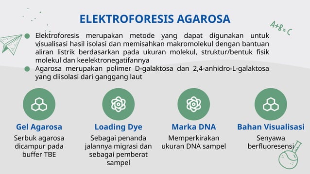 Isolasi DNA Plasmid dan Elektroforesis Agarosa.pptx