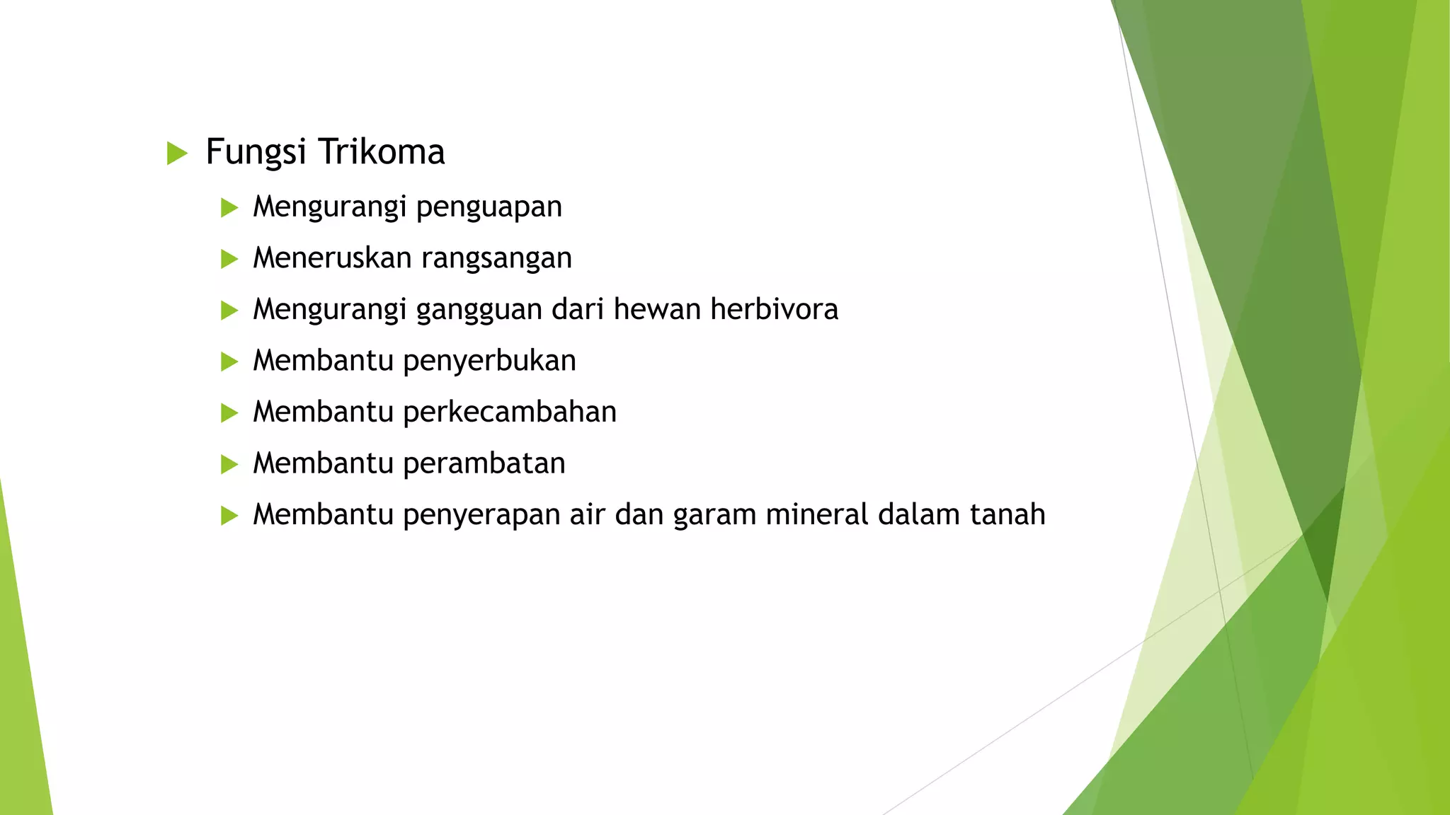 Tugas BIOLOGI KELAS XI SEMESTER 1 - Jaringan Epidermis | PPTX