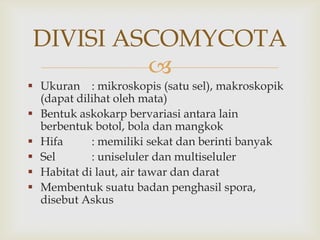Kelompok ascomycota | PPT