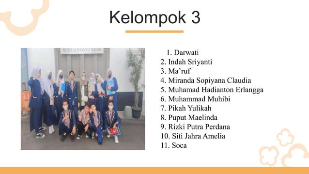 KELOMPOK AVES.pptx