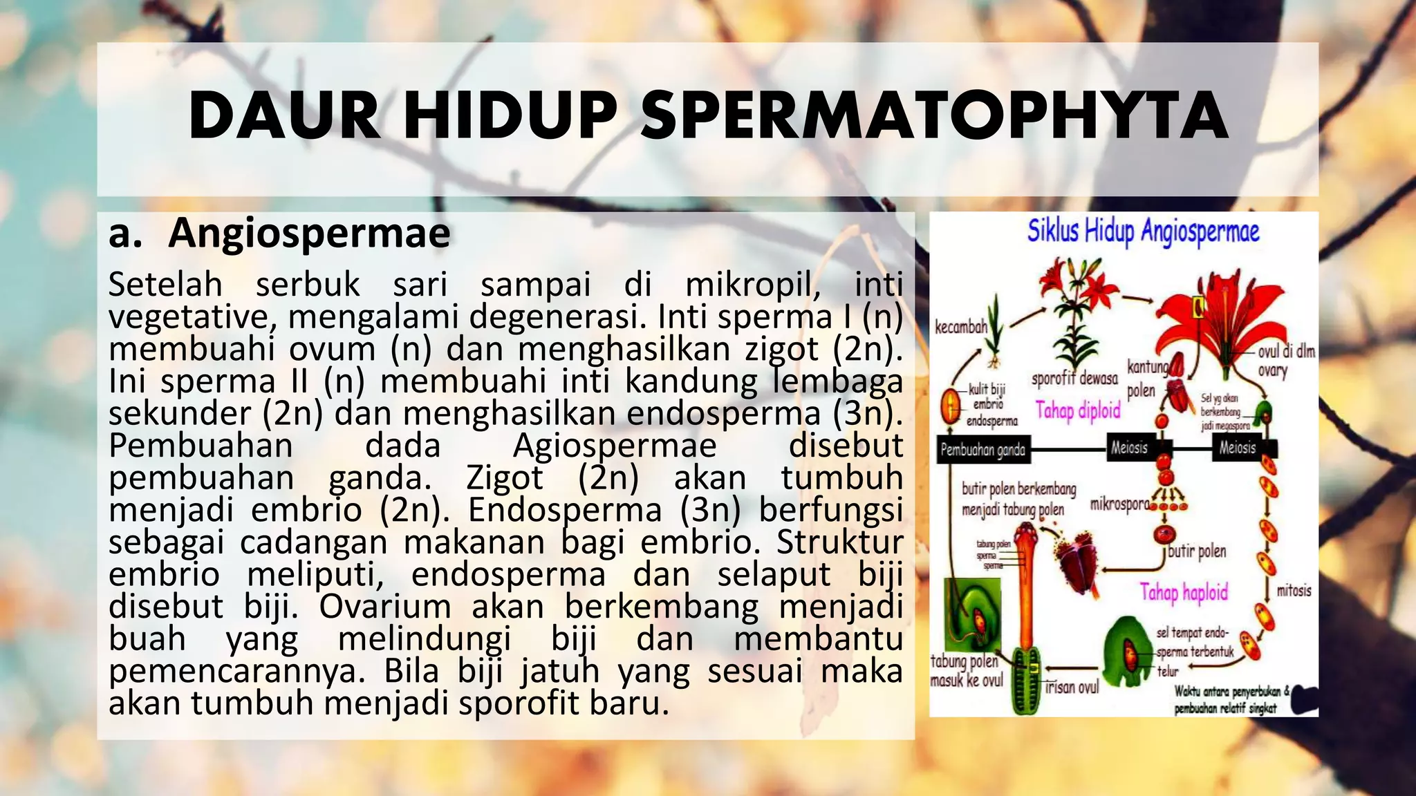 BIOLOGI (TUMBUHAN LUMUT DAN PAKU PAKUAN) | PPTX