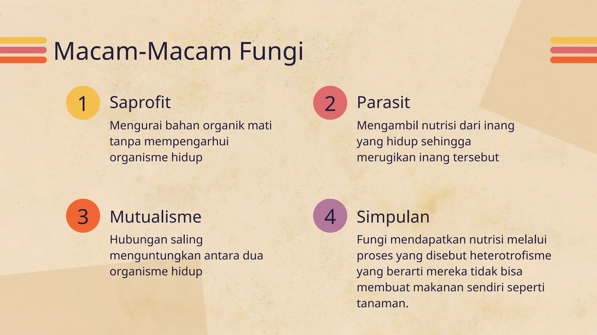 Kelompok Fungi, Materi belajar kelas 10 SMA | PPTX