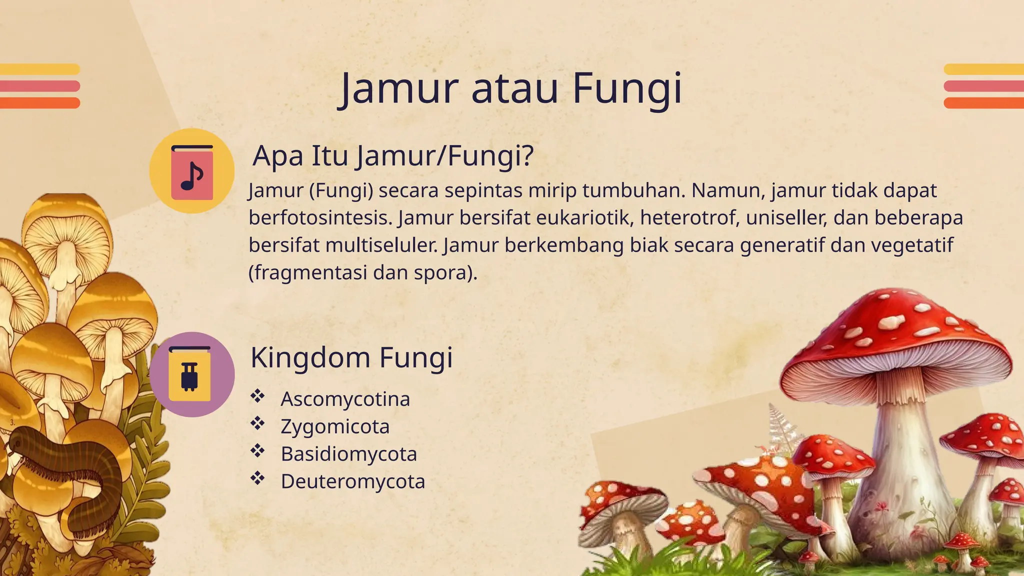 Kelompok Fungi, Materi belajar kelas 10 SMA | PPTX