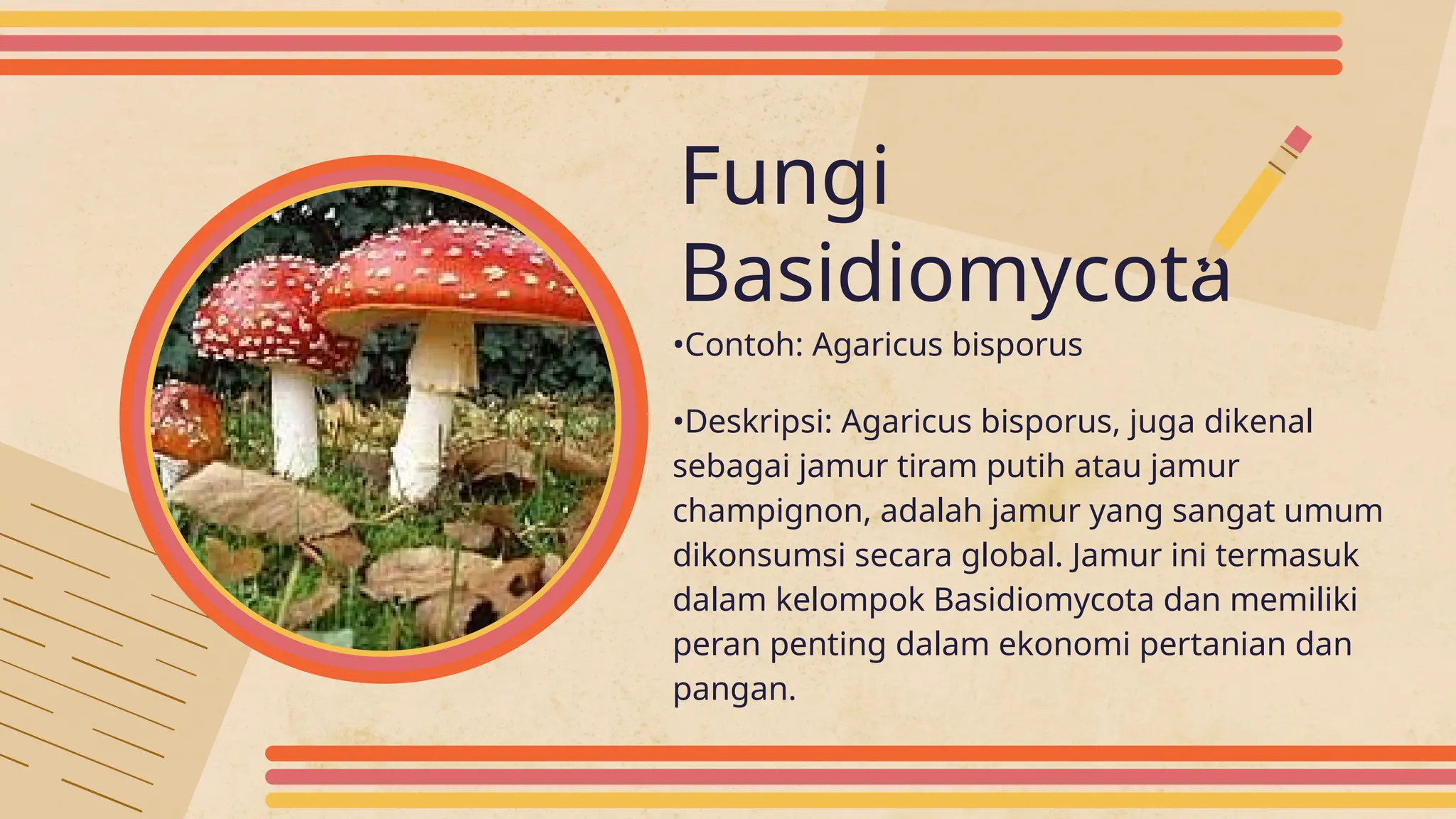 Kelompok Fungi, Materi belajar kelas 10 SMA | PPTX