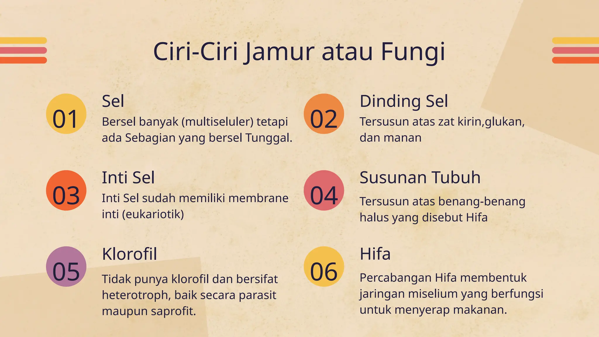 Kelompok Fungi, Materi belajar kelas 10 SMA | PPTX