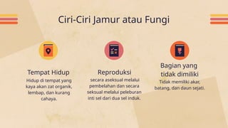 Kelompok Fungi, Materi belajar kelas 10 SMA | PPTX