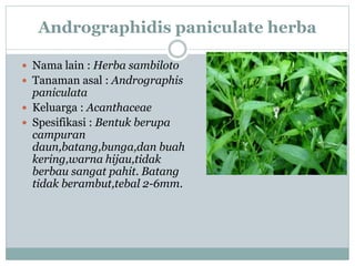 kelompok herba 19g.pptx