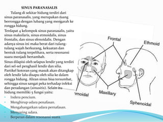 Kelompok hidung ix c | PPTX