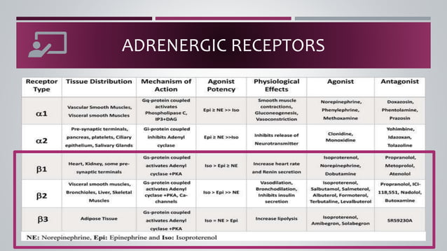 Profil obat cardiovaskular CCB, nitrat, Beta blocker | PPT