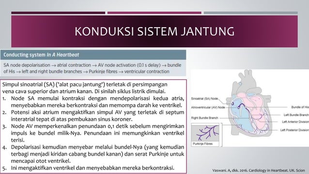 Profil obat cardiovaskular CCB, nitrat, Beta blocker | PPT