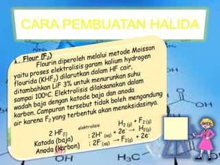 HALOGEN | PPT