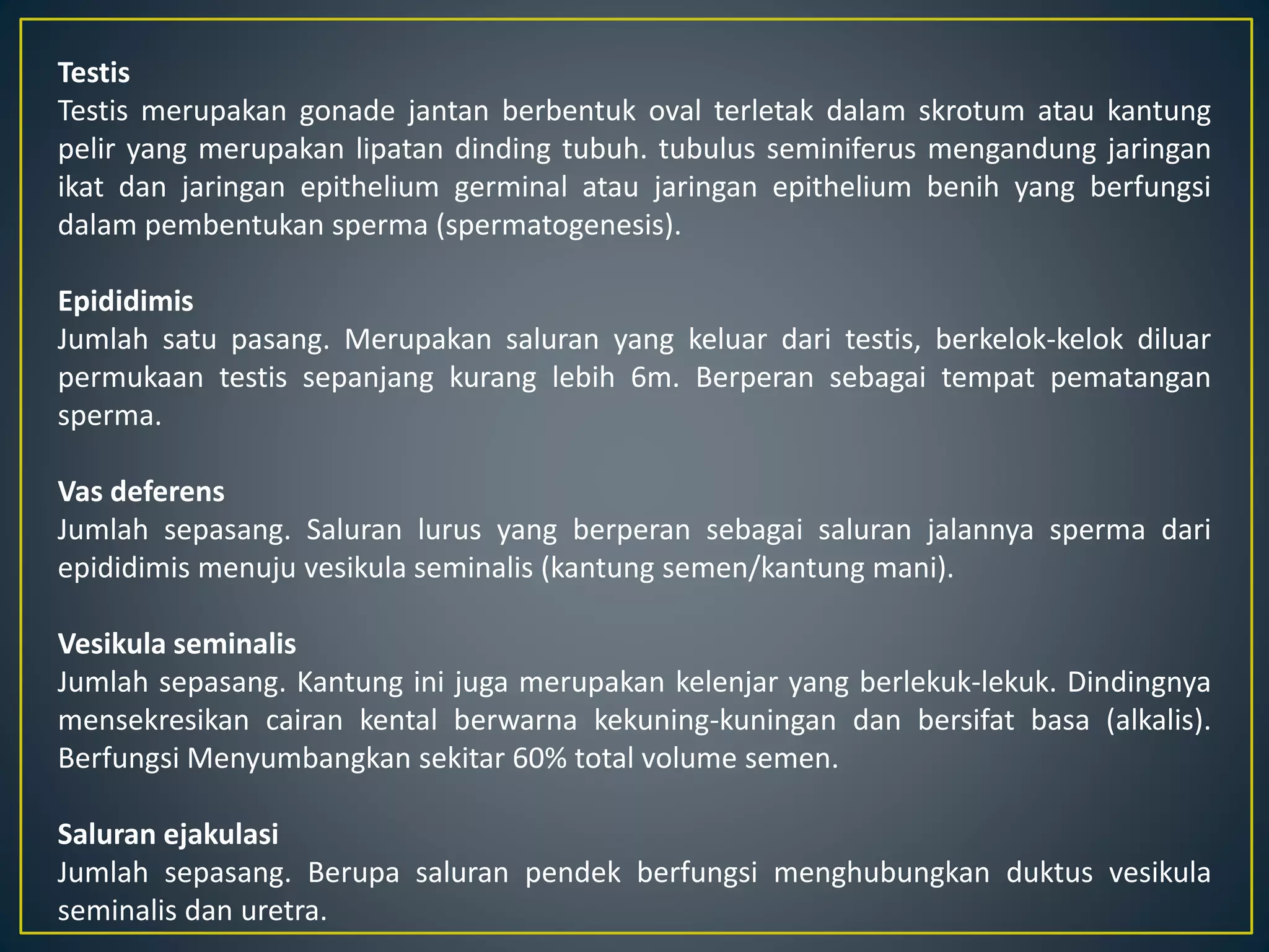 Sistem Organ Reproduksi Pria | PPTX