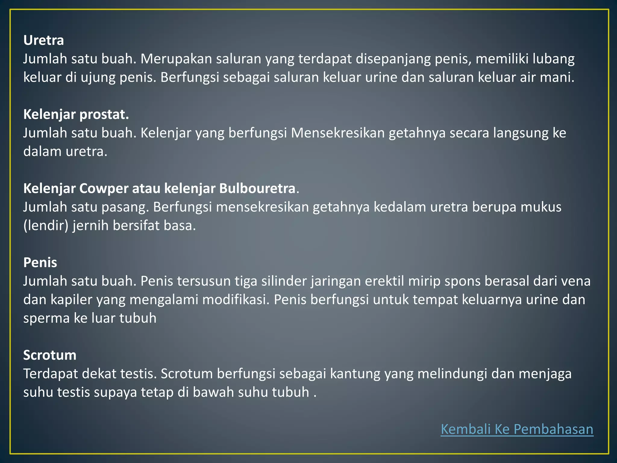 Sistem Organ Reproduksi Pria | PPTX