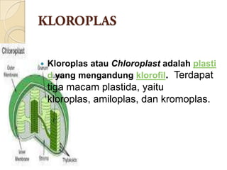 Kelompok iii biosel | PPTX