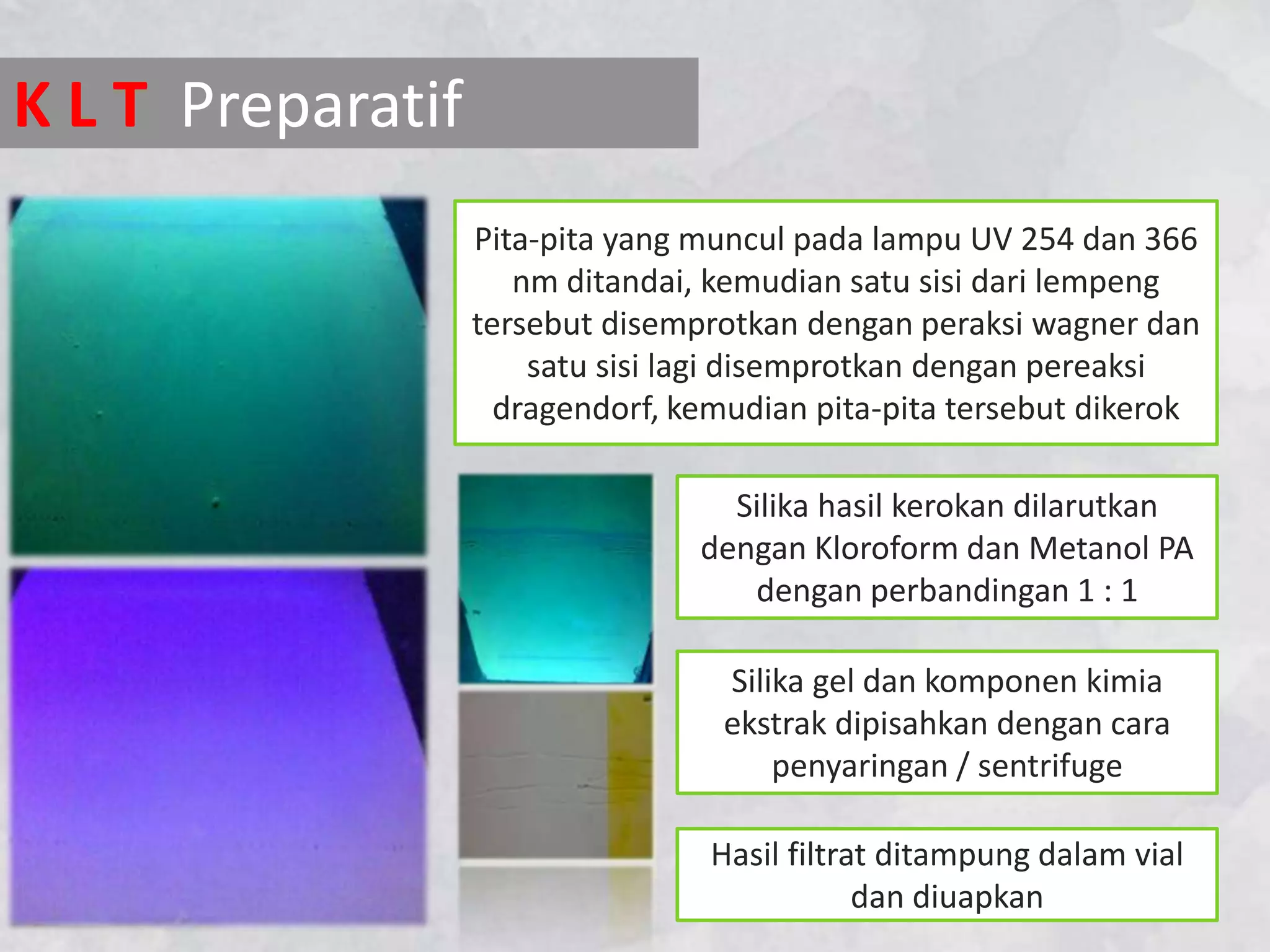 Isolasi Senyawa Bioaktif | PPTX
