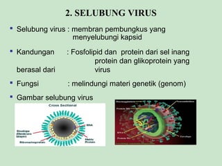 VIRUS | PPT