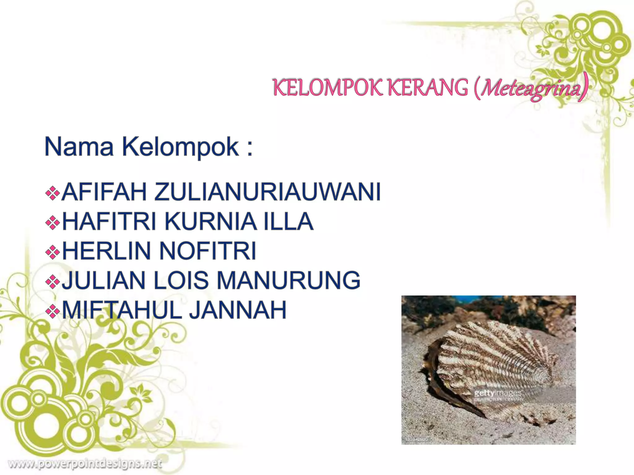 Kelompok kerang (meteagrina) | PPTX