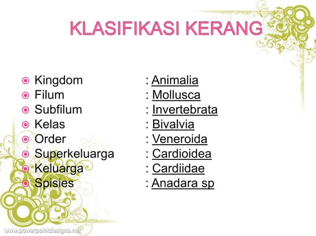 Kelompok kerang (meteagrina) | PPTX