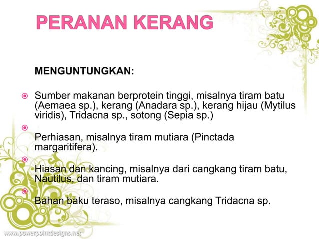 Kelompok kerang (meteagrina) | PPTX