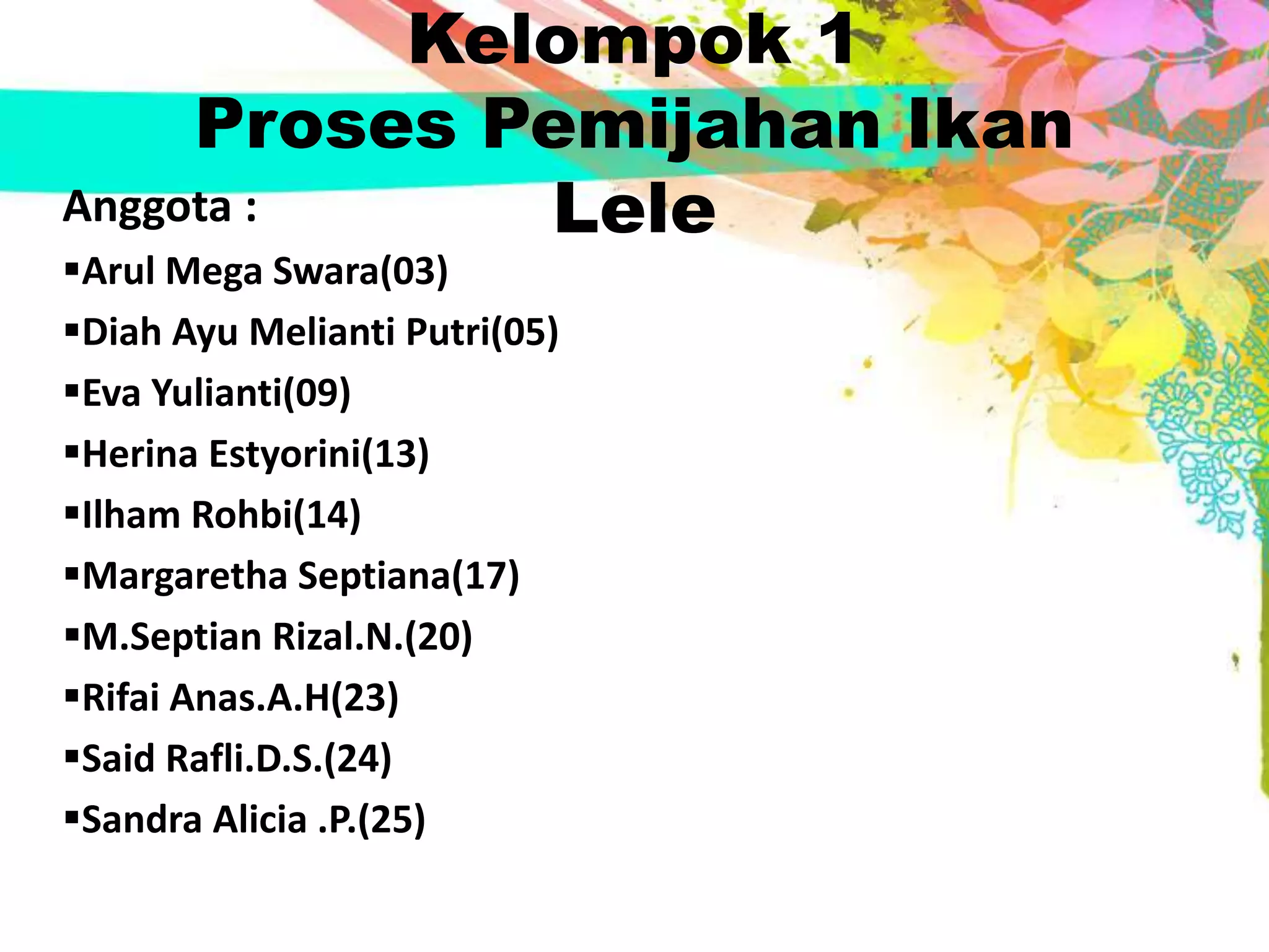 Proses Pemijahan Lele | PPTX