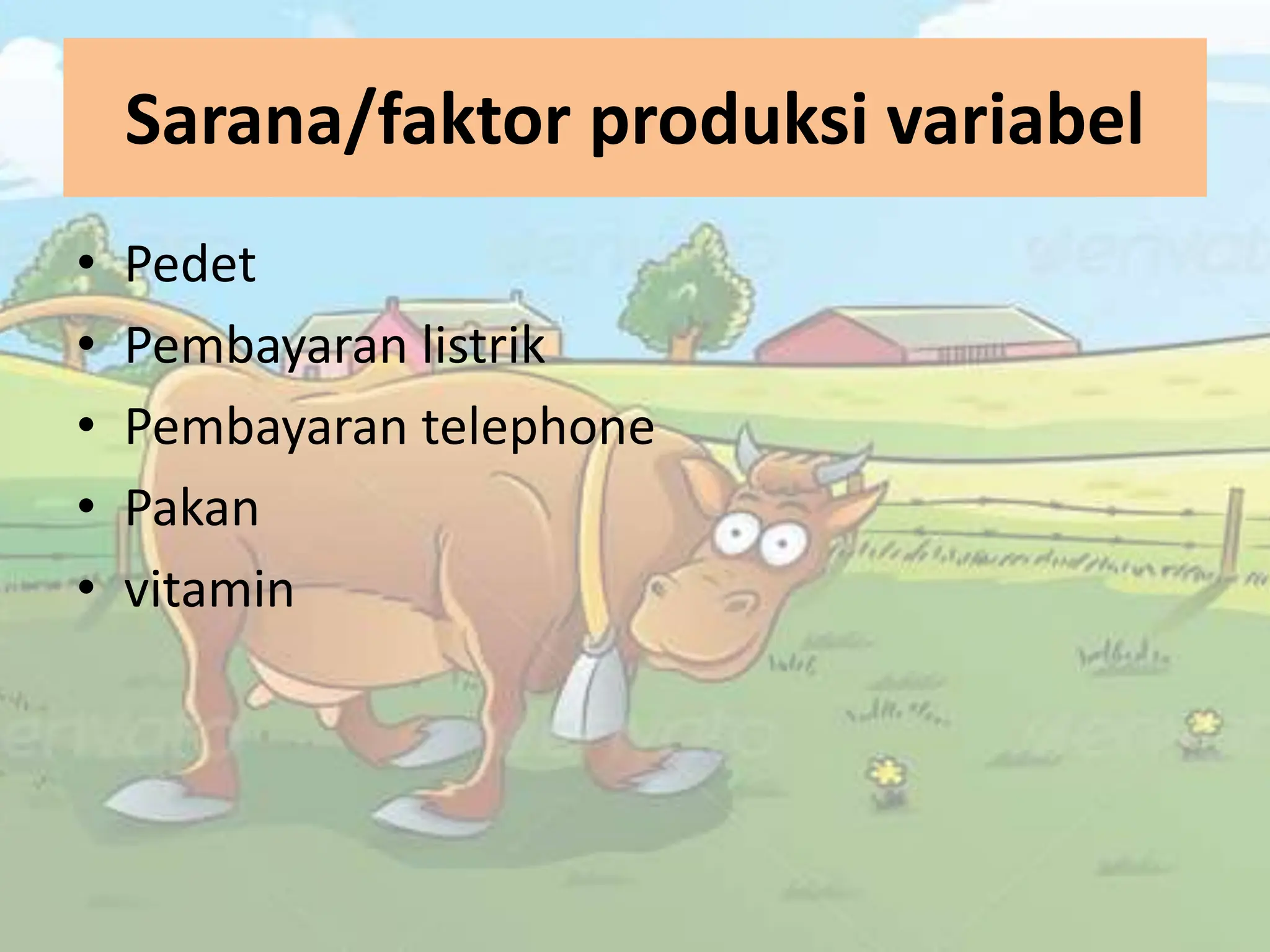 Briding sapi brahman untuk masyarakat pedesaan | PPT
